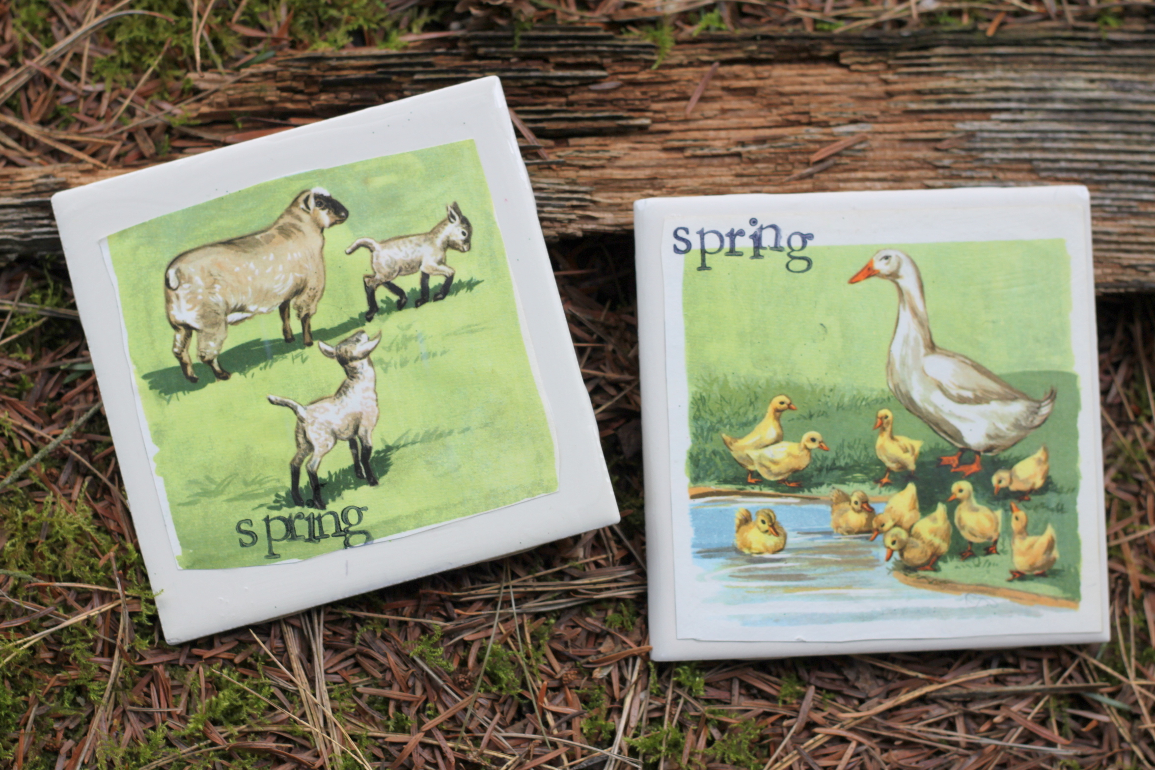 Vintage Spring Coasters | DIY for Beginners | KiwiCo