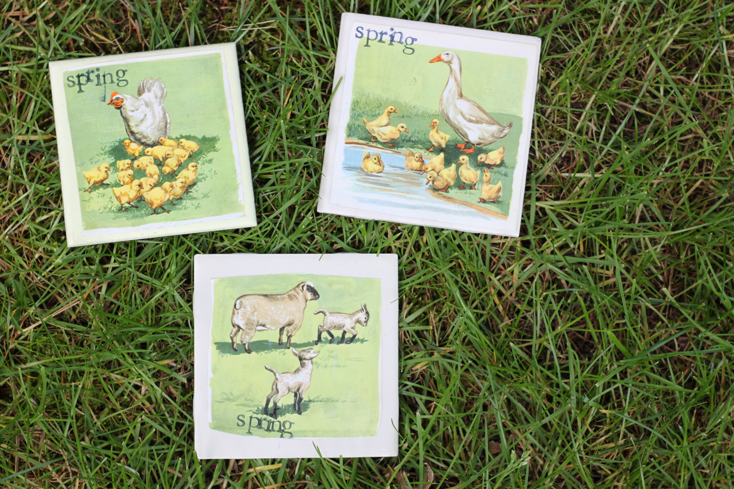 Vintage Spring Coasters | DIY for Beginners | KiwiCo